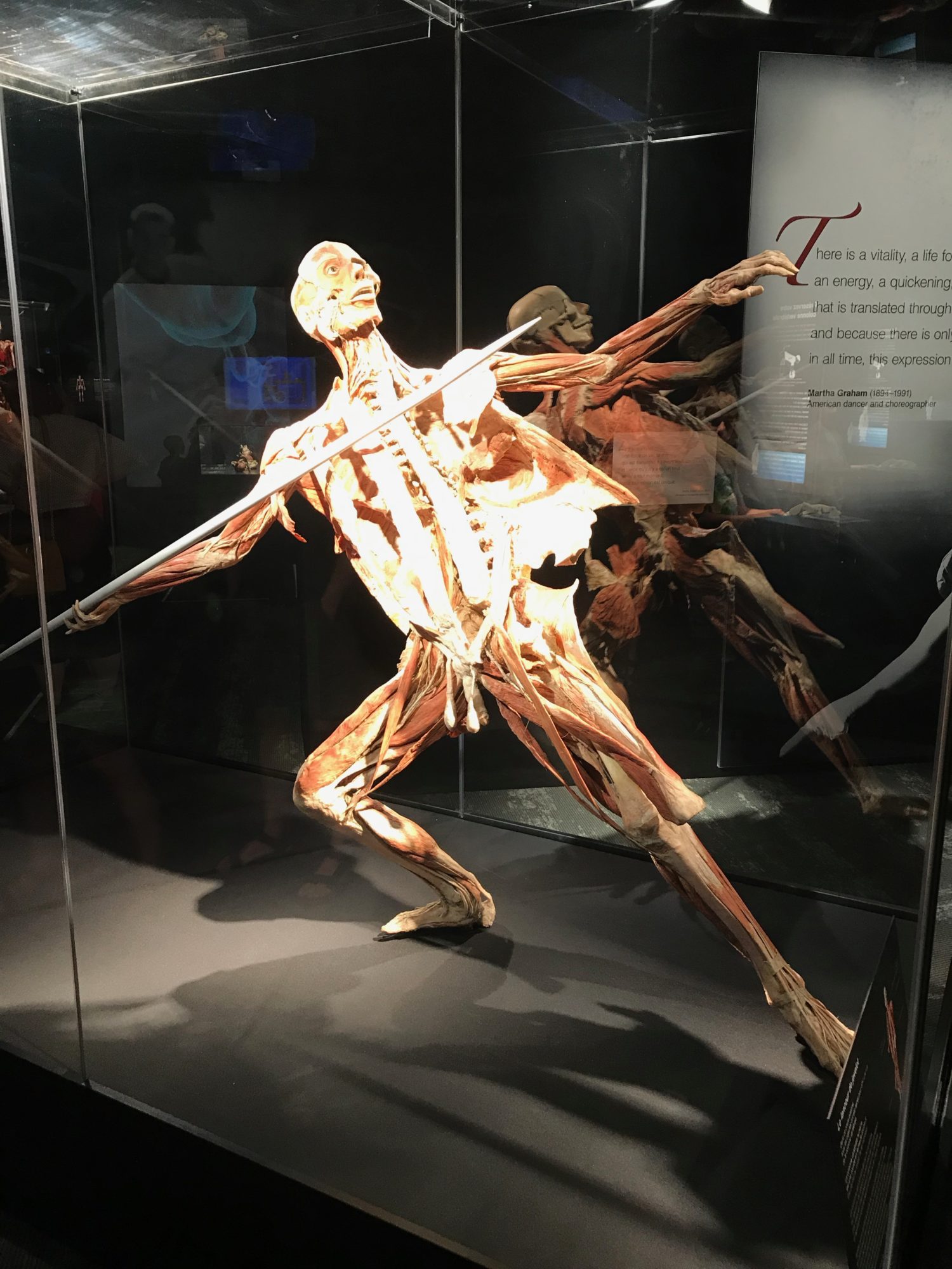 Your Amazing Body: The Inside Story - Ascension Chiropractic Health Centre